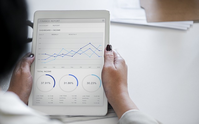 Comment créer un pictogramme dans Excel - Fiche pratique sur Lavise.fr