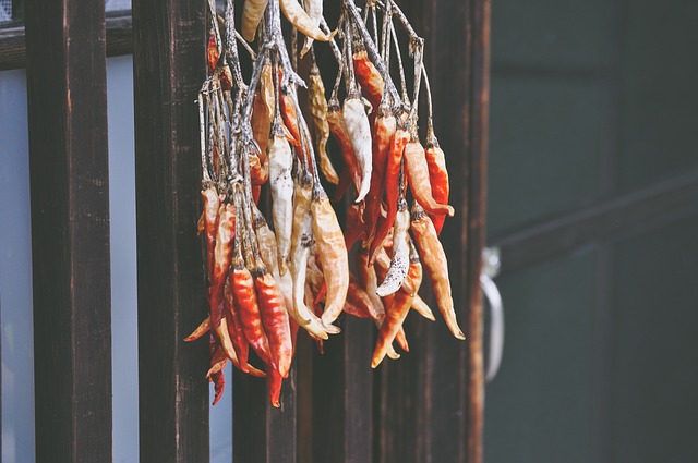 Comment cuire les crevettes séchées - Fiche pratique sur Lavise.fr
