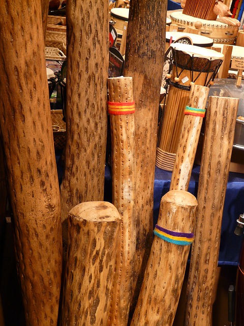 Faits sur l'instrument de musique Rainmaker - Fiche pratique sur Lavise.fr
