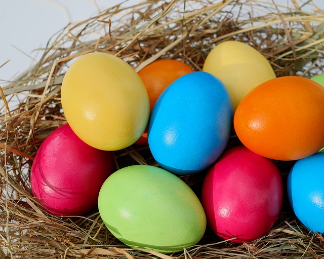 Différents types de poules - Fiche pratique sur Lavise.fr